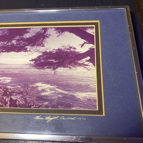 Art | Vtg Rare Gene Wright Carmel The Lone Cypress Photograph 1976 ...